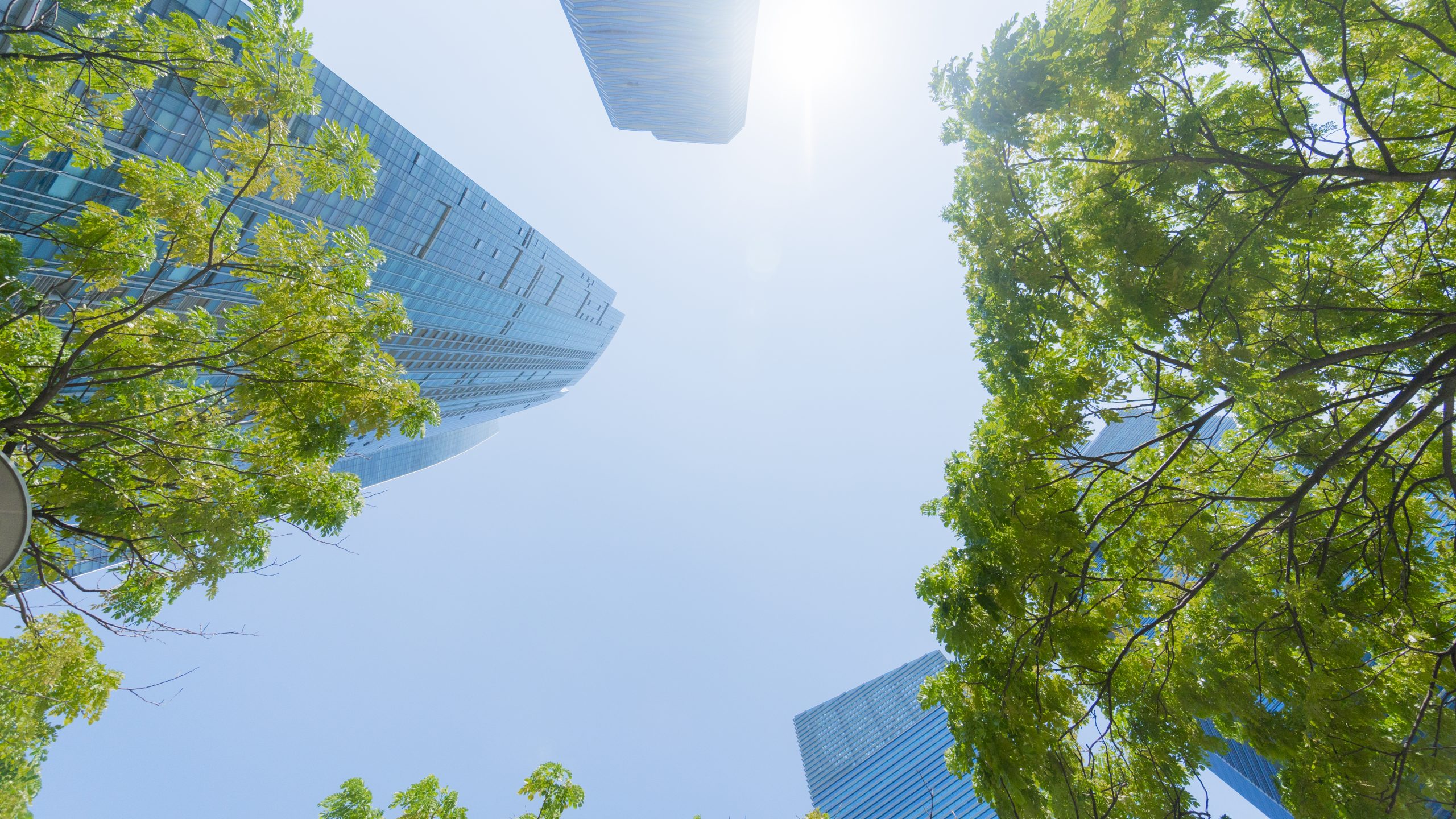 Sustainable investment commitment | Willday Wealth Management